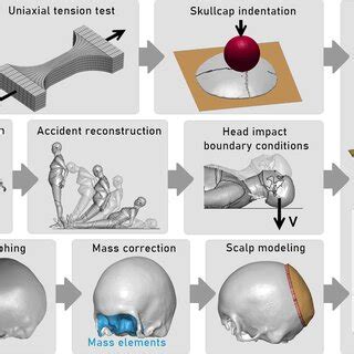 Overview Of The Study The Material Model Was Established Using Download Scientific Diagram