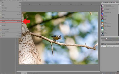 How To Save As In GIMP Tech Lounge