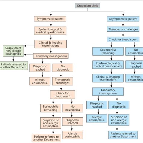 Proposed Algorithm For Seeking Allergic Causes In Eosinophilic Patients Download Scientific