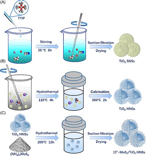Schematic Illustration Of The Preparation Of 1t′‐mos2 Tio2 Hnss