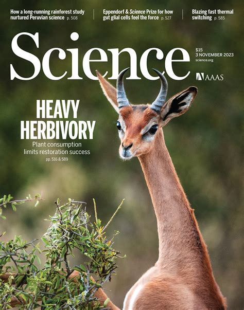 Sex Biased Gene Expression In Mammals Science