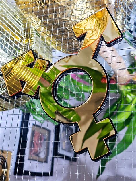 Female Male Transgender Sex Symbol Mirror Man Woman Trans Lgbtq Wall Art Boho Wall Art Decor