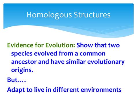 What Do You Notice About These Structures Ppt Download