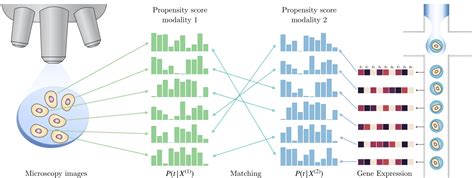논문 리뷰 Propensity Score Alignment Of Unpaired Multimodal Data
