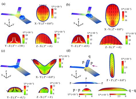 Color Online Velocity Contour With Overlaying Vector Plot Inside The