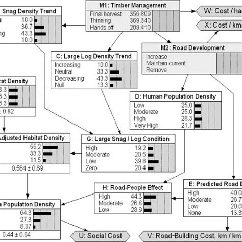 example of a bayesian belief network model predicting how decisions