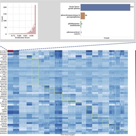 Co Clustering Results On Complete Patient Drug Response Prediction Download Scientific Diagram