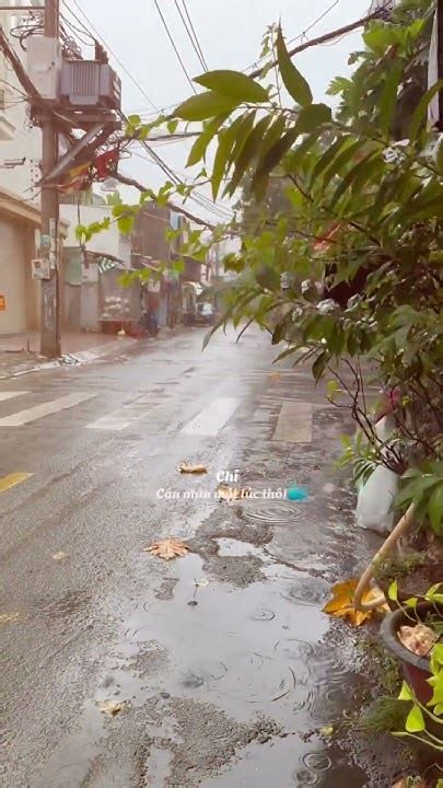 Nohaudauno Chily Year End 2024 Moments Youtube