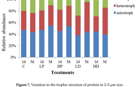 Variation In The Trophic Structure Of Protists In 10 20 µm Size Download Scientific Diagram