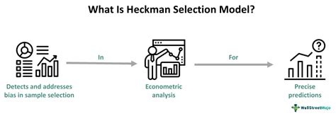 Heckman Selection Model What It Is Examples Assumptions