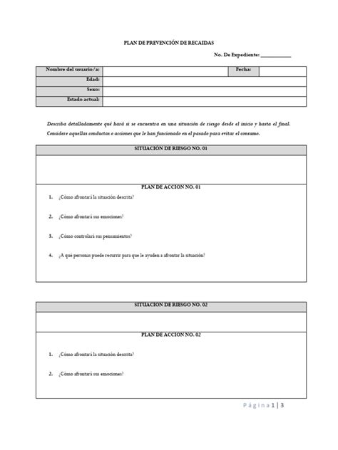 Plan De Prevencion De Recaidas Pdf