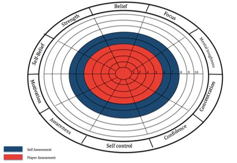Performance Profiling Personalisiere Dein Traning Smartvital Trainings