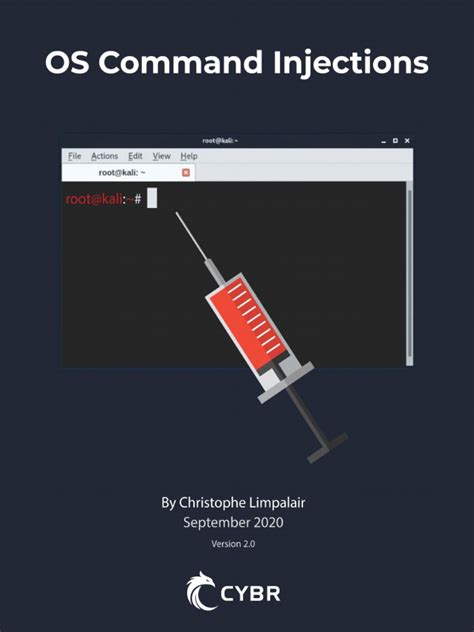 Os Command Injection Ebook V2 Pdf World Wide Web Internet And Web