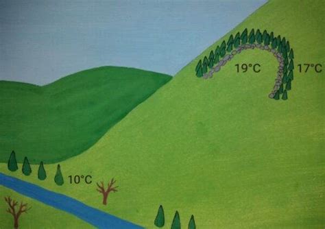 Creating The Ideal Microclimate Permaculture Plants