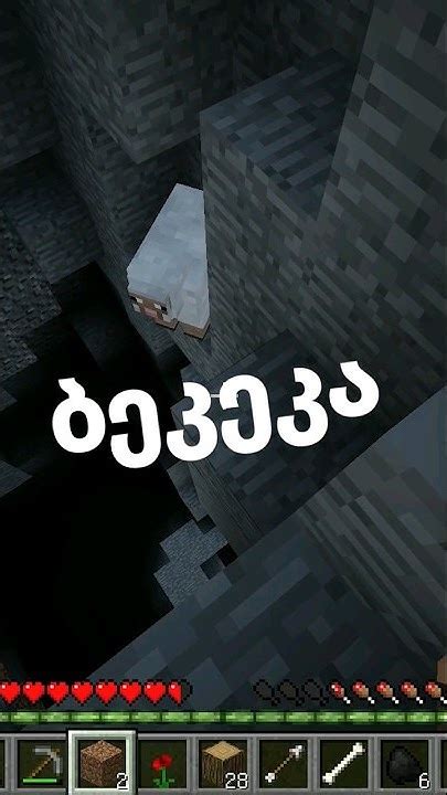 ბეკეკა გადავარჩინე Gaming სლ Games Gamer Minecraft Youtube