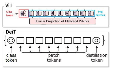 Simple Review Deit Training Data Efficient Image Transformers