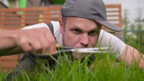 People Cutting Grass With Scissors