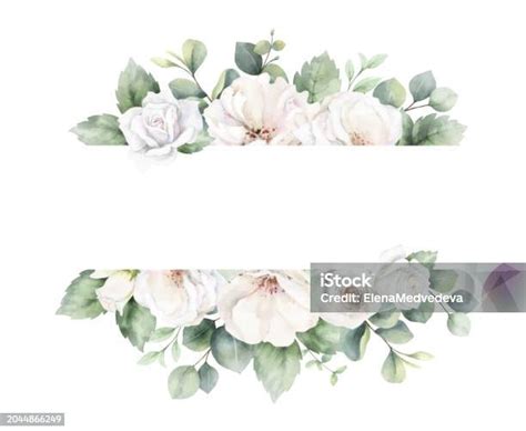 흰 장미와 유칼립투스 가지 수채화 벡터 꽃 배너입니다 웨딩 문구 인사말 월페이퍼 패션 패브릭 홈 장식 손으로 그린 그림입니다 꽃 식물에 대한 스톡 벡터 아트 및 기타 이미지