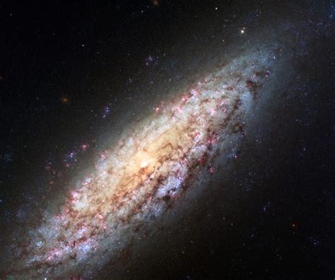 Self Interacting Dark Matter Solves The Diversity Problem In Galactic
