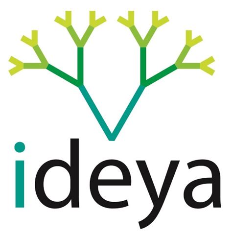 IDEYA RED PROFESIONAL - Ciem Zaragoza