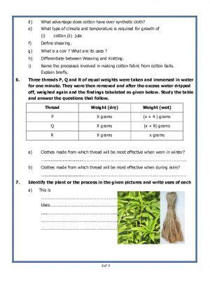 A2zworksheetsworksheet Of Fibre To Fabric Basic Necessities Science