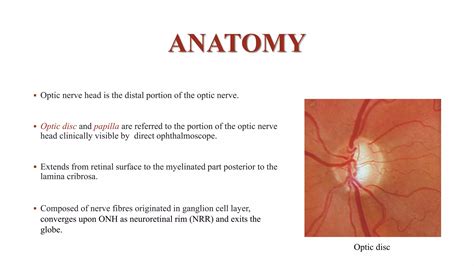 Optic Nerve Head Evaluationpptx