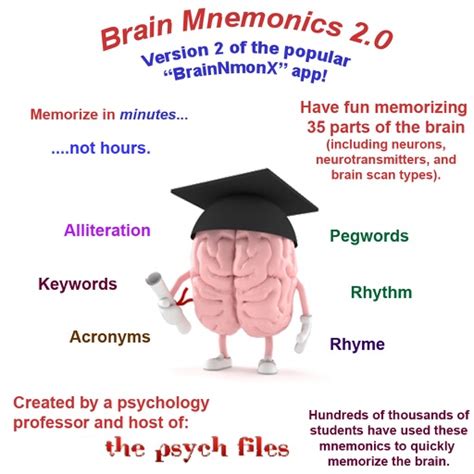 Brain Mnemonics Memorize The Brain Quickly AppRecs