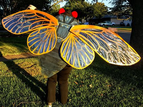 Cicadas Shell Cosplay