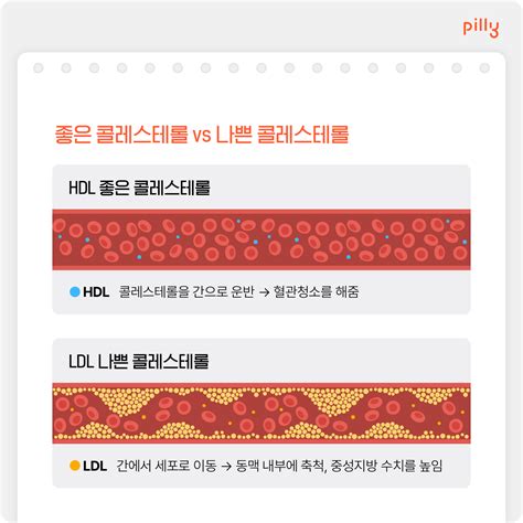 콜레스테롤의 두 얼굴 맞춤영양제 필리