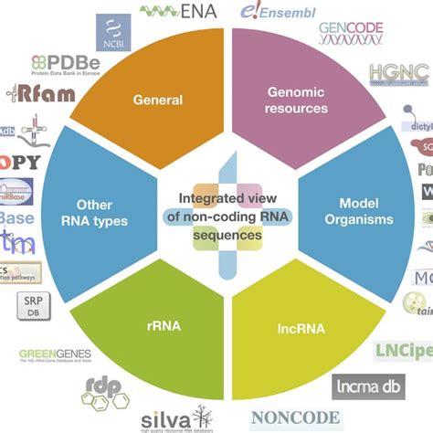 Zhang Zhang Professor Full Ph D Chinese Academy Of Sciences Beijing Cas Beijing