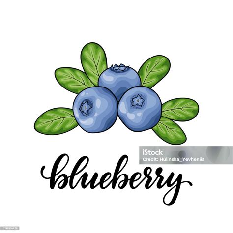 여름의 상징 인 블루 베리를 문자로 보내는 아름다운 만화 레드 블루 베리 휴일 인사말 카드 및 계절 여름 휴가 해변 파티 관광 및 여행의 초대를위한 디자인 0명에 대한 스톡