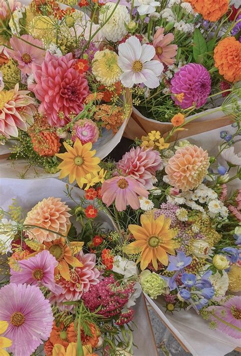 Love Roses Are Red On Tumblr