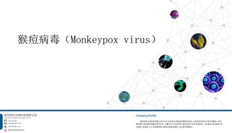 猴痘病毒基因组、传播机制、基因检测及免疫检测方法介绍 知乎
