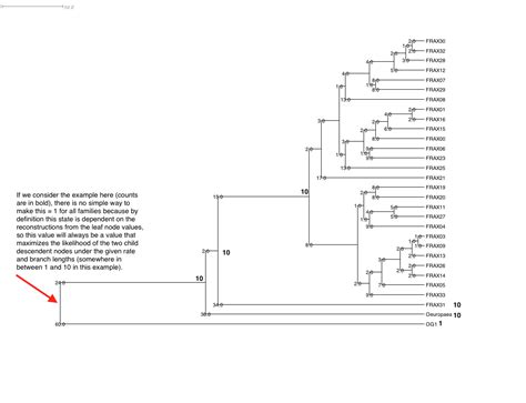 Support For Root Nodes Of Non Zero Length Issue 43 Hahnlab CAFE5