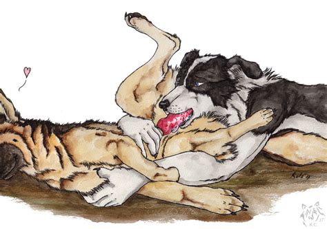 Rule 34 2017 Ambiguous Gender Animal Genitalia Animal Penis Anthro