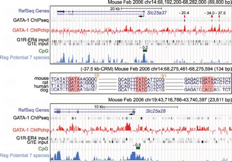 Genome Wide Analysis Of Chip Seq And Chip Chip Data Predict Crms The