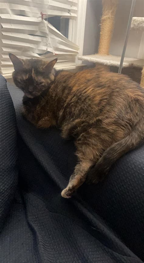 Drumstick R Drumstick