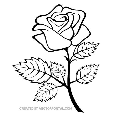 Rose Flower Outline Clip Art Free Best Flower Site