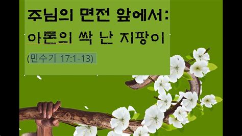 아론의 싹난 지팡이 하나님의 면전에서 Youtube