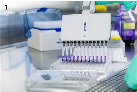 Bioactivity Screening Lab Art Meets Science Helsinki See Learn Discuss