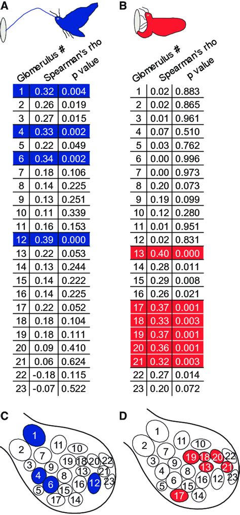 Linking Brain Activity Patterns To Behavior A And B Correlation Of