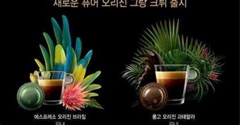 네스프레소 기업용 캡슐 커피 2종 출시