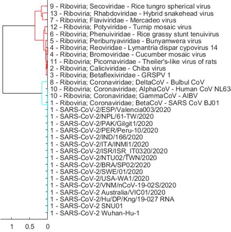 Dendrogram Plots Showing Hierarchical Clustering Results Using Only The