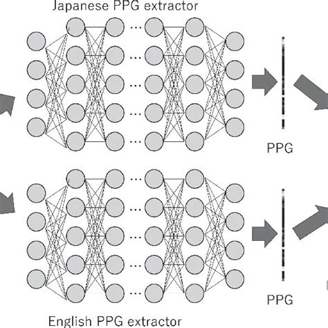 Concatenation Based Multilingual Ppg Extraction Ppg Conc Download Scientific Diagram