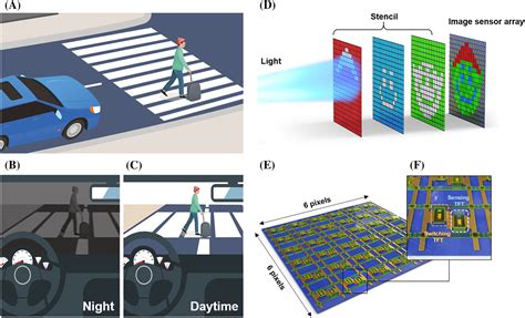 Active Pixel Image Sensor Array For Dual Vision Using Large‐area