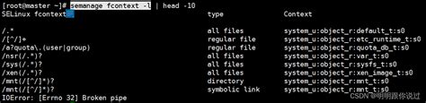 Selinux深度解析：安全增强型linux的探索与应用（下） Csdn博客