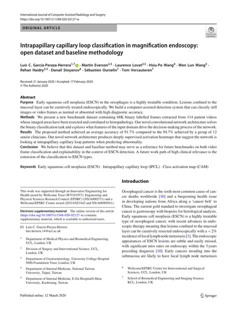 Pdf Intrapapillary Capillary Loop Classification In Magnification Endoscopy Open Dataset And