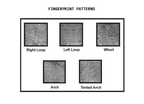 Unit 2 Forensics Mysteries Mrs Riekers Gate Class