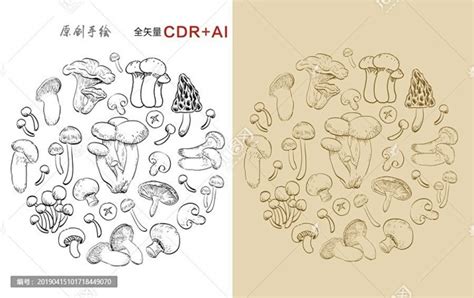 山珍菌菇插画手绘矢量蘑菇
