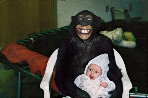 Travis The Chimp Crime Scene Photos